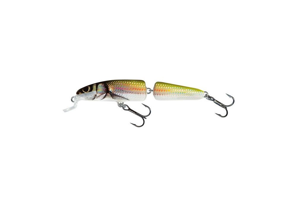 Salmo Fanatic Holo Bleak Floating Lure 7cm - Johnson Ross Tackle